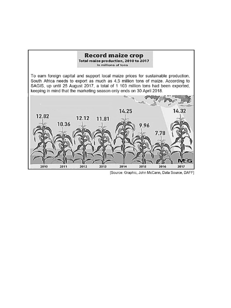 Informal Activities - Maize Farming | PDF | Agriculture | Crops