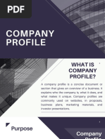 Comprehensive Company Profile Template | PDF