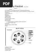 BSc 1st Year Botany Practical Guide | PDF | Plant Stem | Vector ...