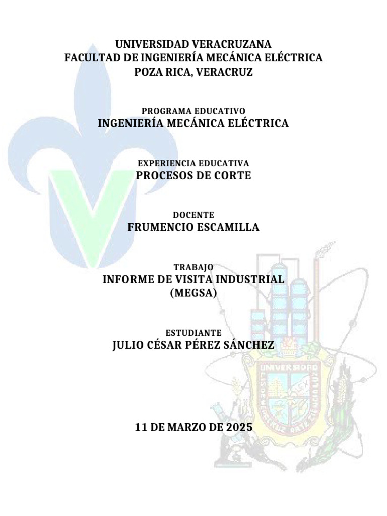 Copia de Frume Megsa Informe | PDF
