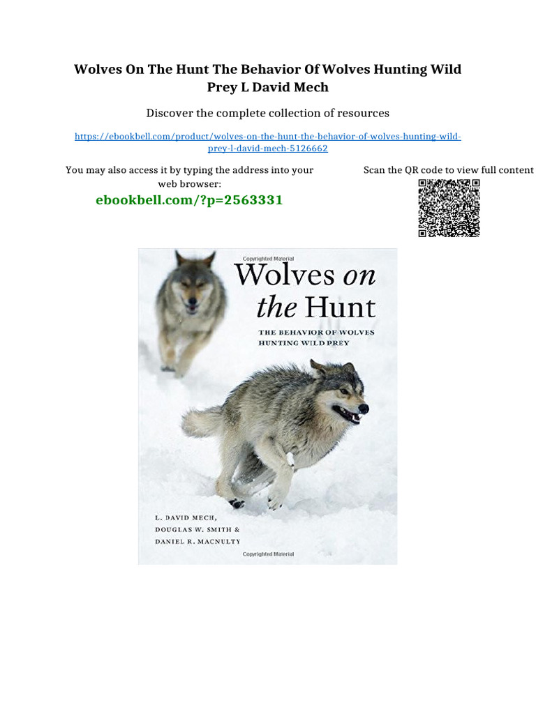 Wolves On The Hunt The Behavior Of Wolves Hunting Wild Prey L David ...