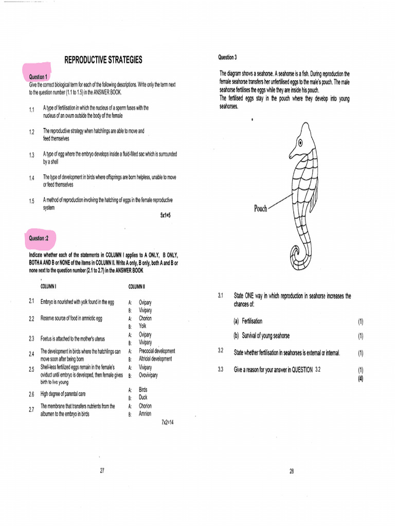 Reproductive Strategies | PDF