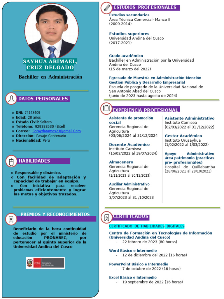 Cv-Sayhua Abimael Cruz Delgado 15-01-2025 | PDF