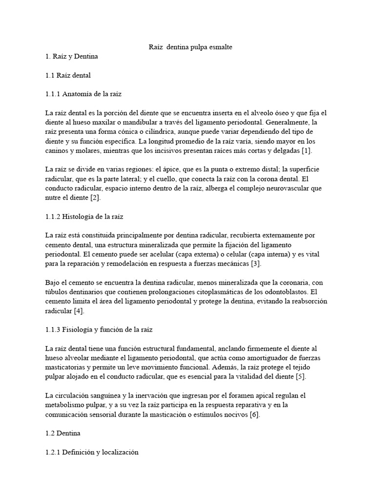La Raiz Del Diente | PDF | Dentina | Esmalte de dientes