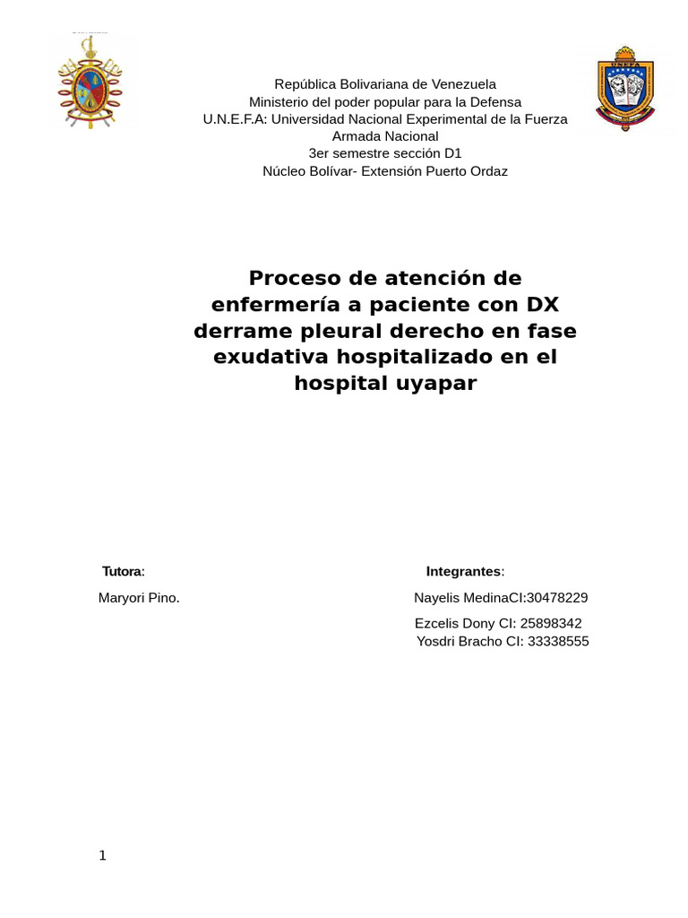 Proceso de Atención de Enfermería A Paciente Con DX Derrame Pleural ...
