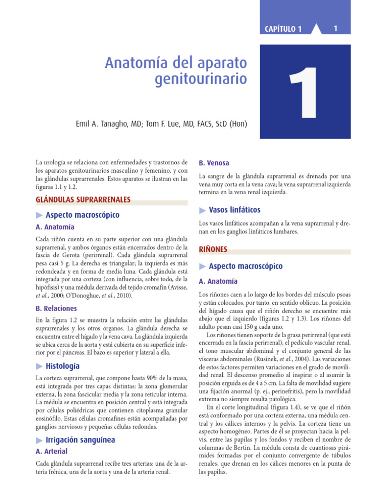 UROLOGIA GENERAL SMITH Y TANAGHO Jack McAninch, Tom Lue (2)-12-26 | PDF ...