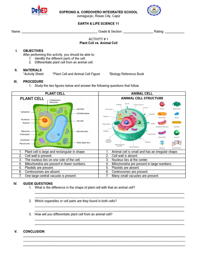 Activity 1 | PDF | Cell (Biology) | Cell Biology