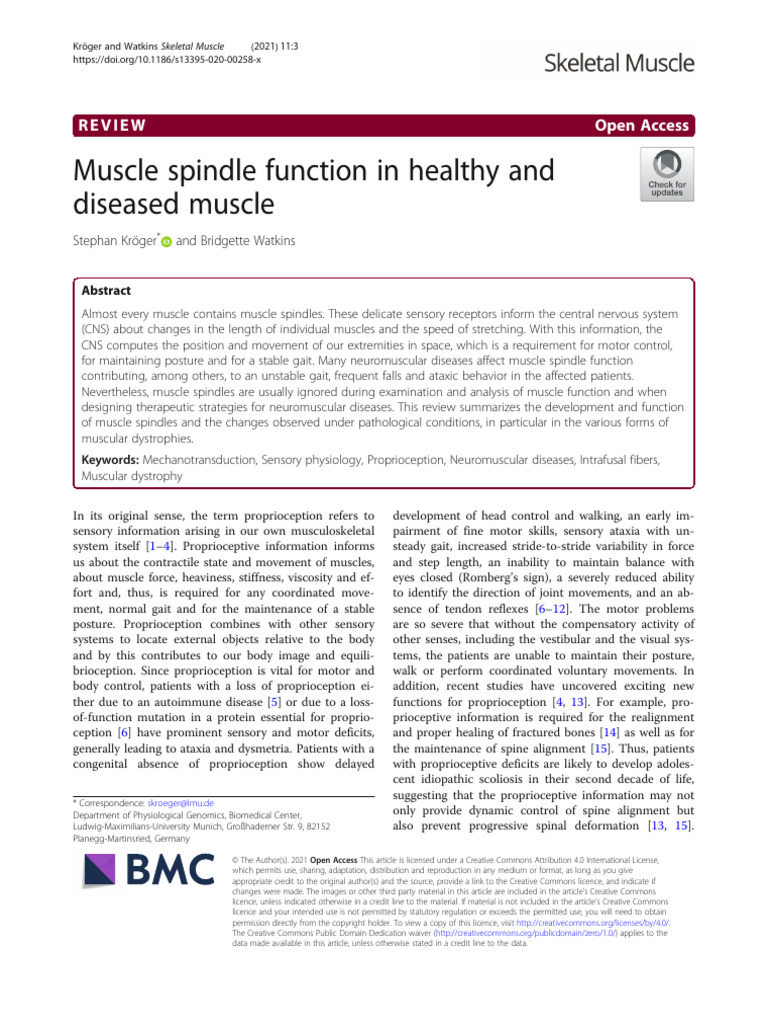 Muscle Spindle Function in Healthy and Diseased Muscle | PDF | Motor ...