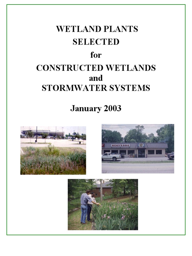 Wetland Plants Selected For Constructed Wetlands and Stormwater Systems ...