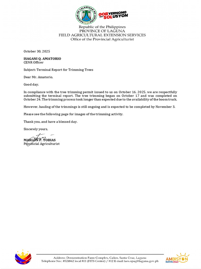 Terminal Report | PDF
