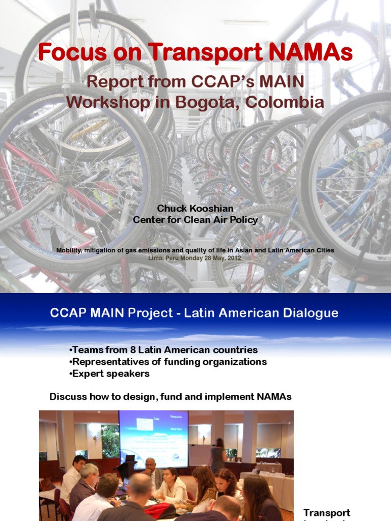 Focus On Transport | PDF | Clean Development Mechanism | Sustainability