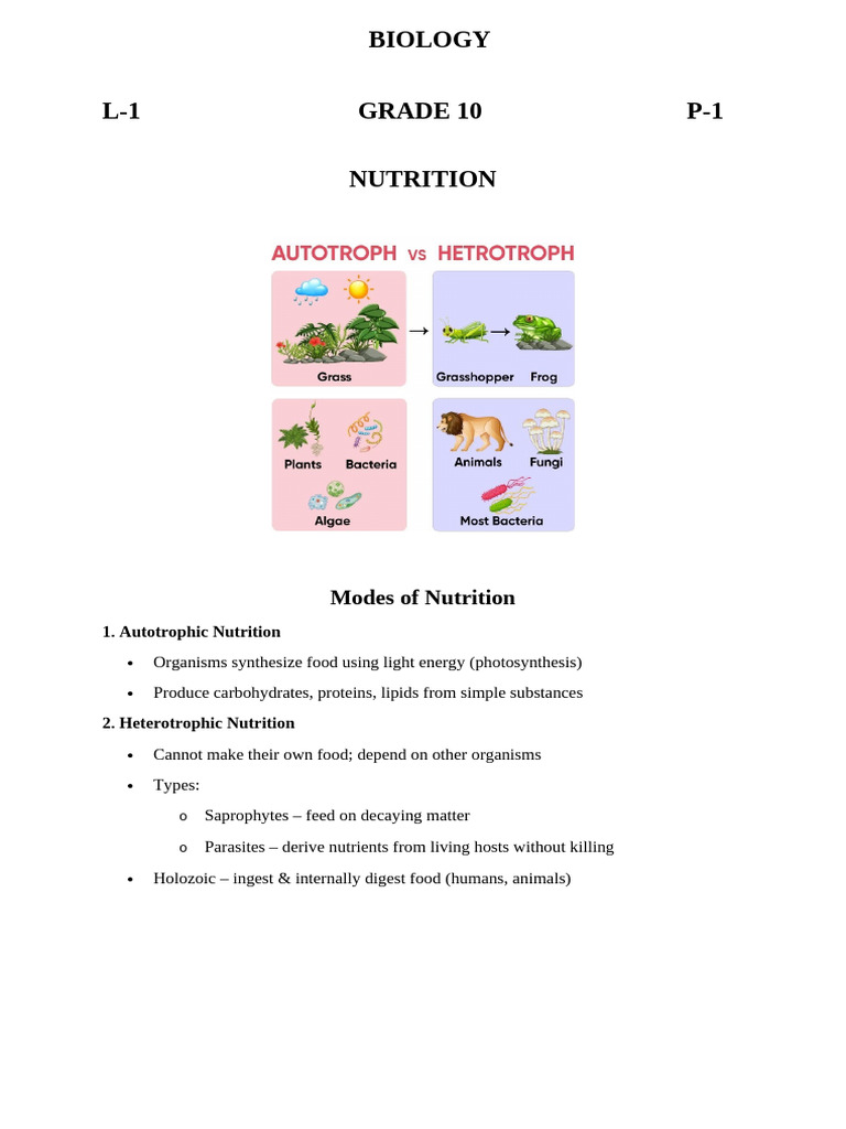 Grade 10 Biology Presentations | PDF | Cellular Respiration | Heredity