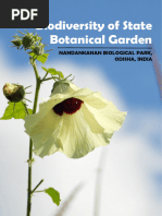Dicot Embryo Development Stages | PDF | Embryo | Branches Of Botany