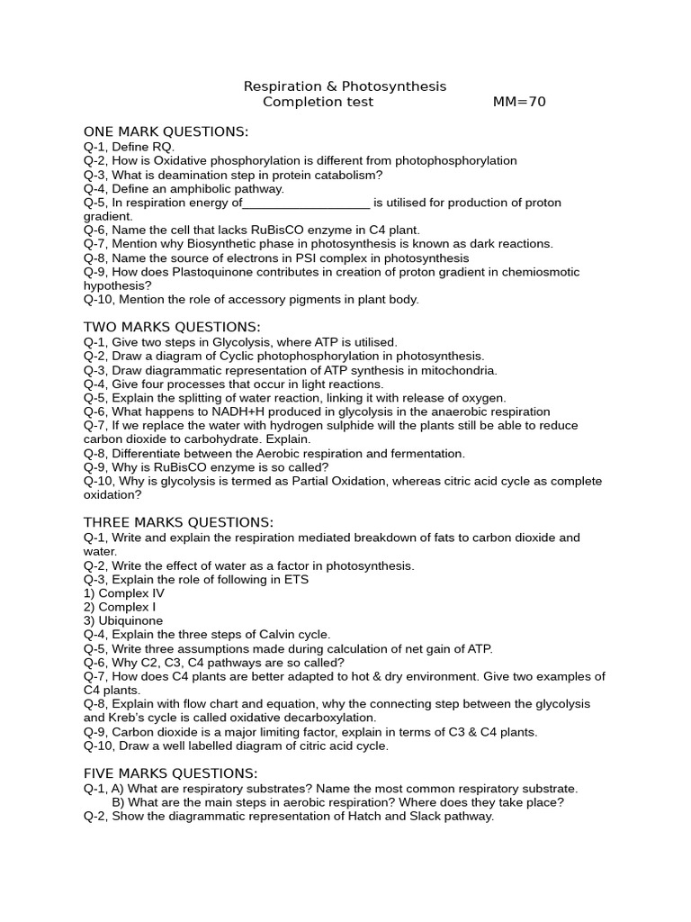 Respiration and Photosynthesis Completion Test | PDF | Cellular ...