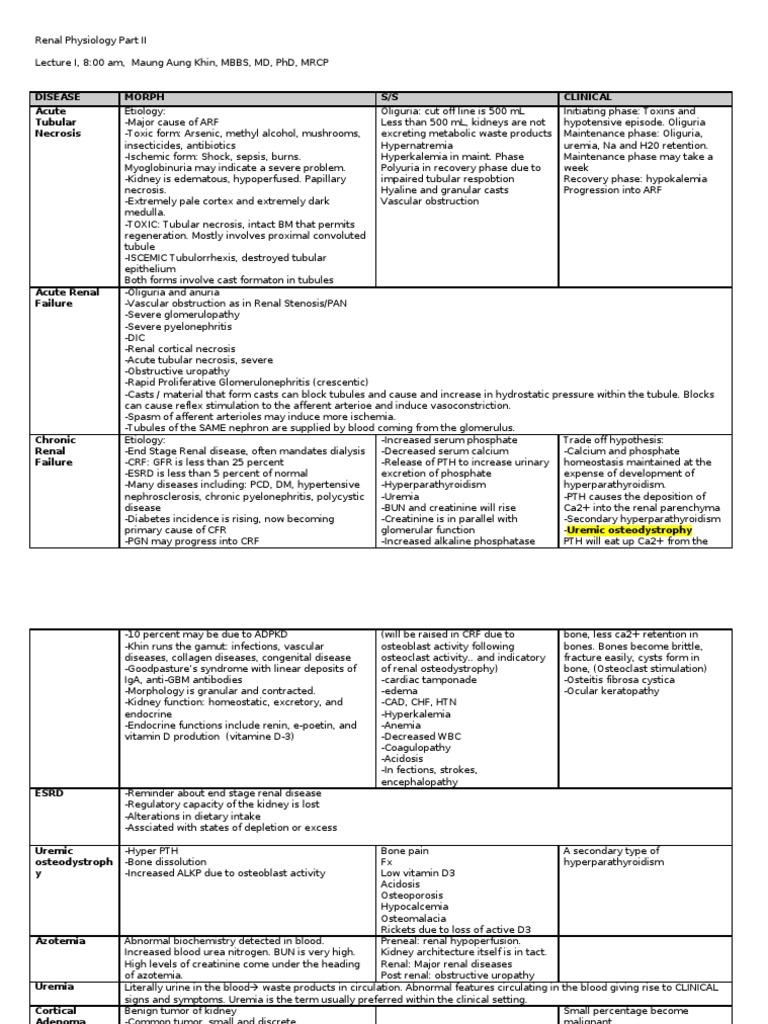 Renal Chart 2 | Kidney | Renal Function