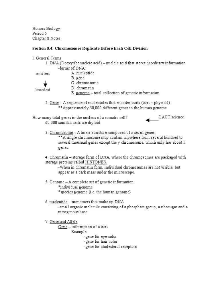 Honors Biology Ch. 8 Notes | PDF | Meiosis | Mitosis