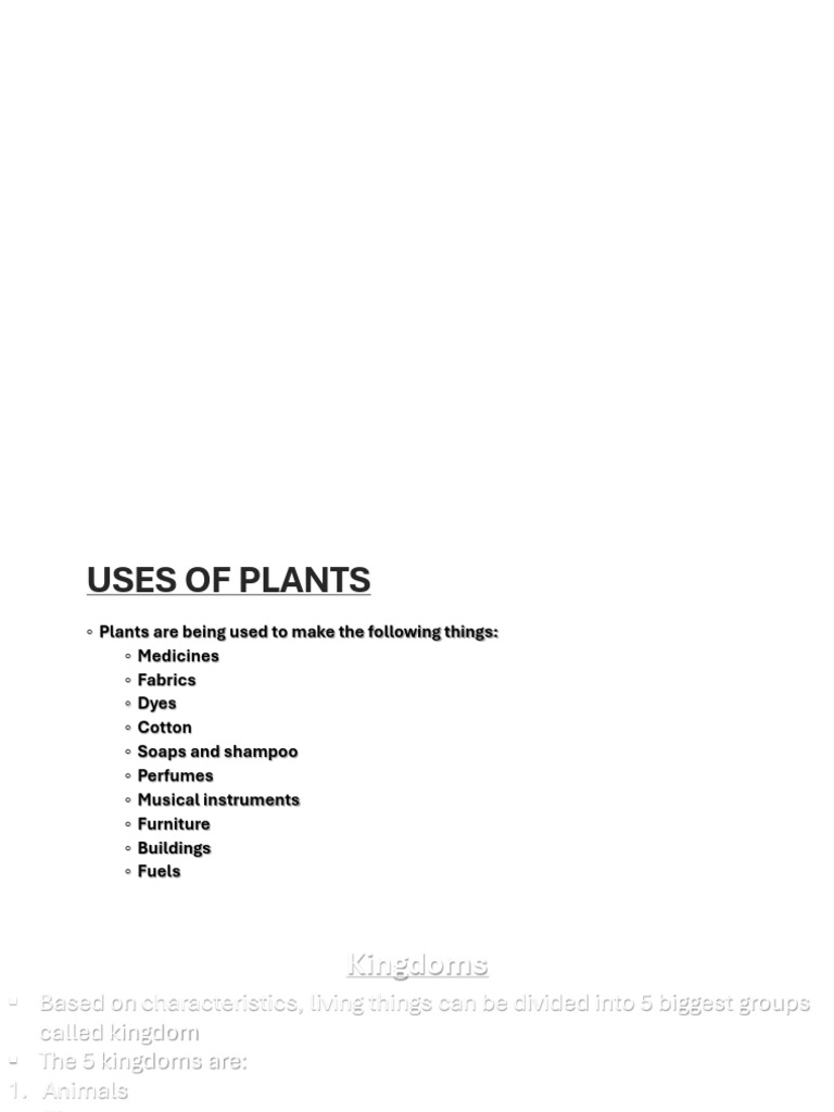 Yr8 Plant Reproduction Revision Notes | PDF | Flowers | Seed