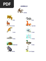 100 Animals and Their Sounds PDF | PDF | Zoology