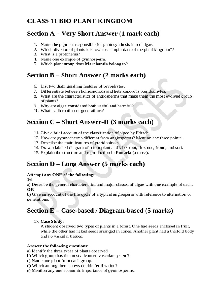 Class 11 Bio Plant Kingdom | PDF