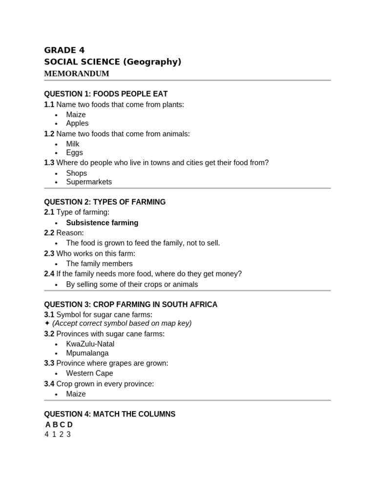 Grade 4 Geography Memo | PDF