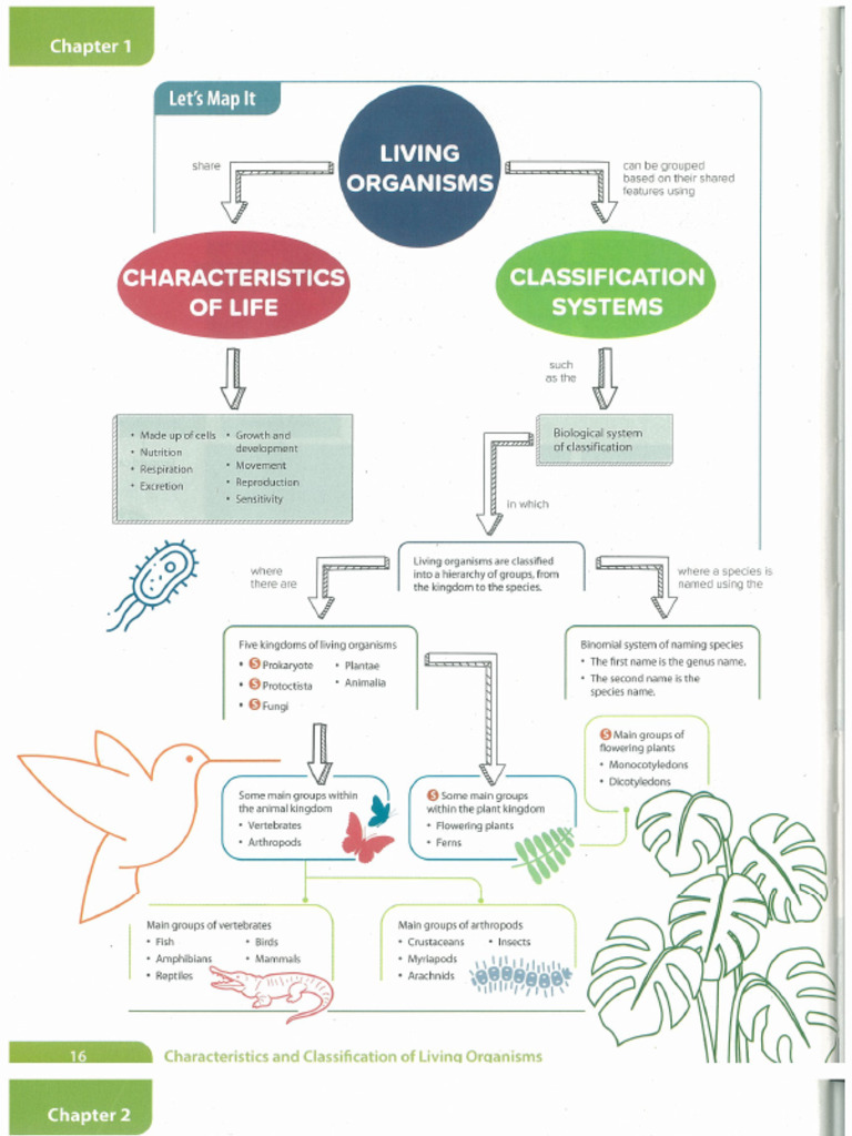 Mind Map Chapter 1-5 | PDF