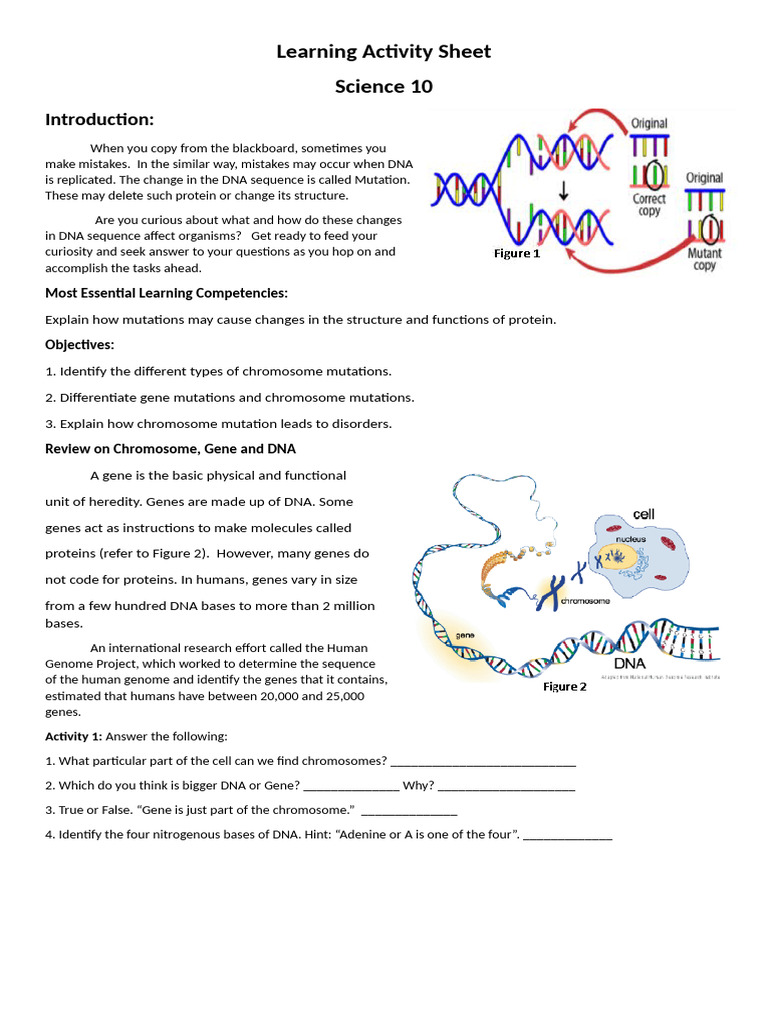 Learning Activity Sheet | PDF | Gene | Mutation
