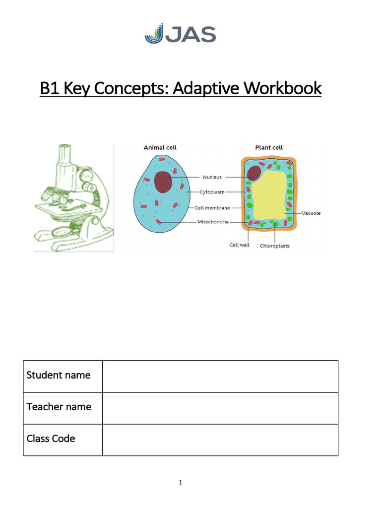 Year 9 B1 Key Concepts Adaptive Workbook FULL | PDF | Cell (Biology ...