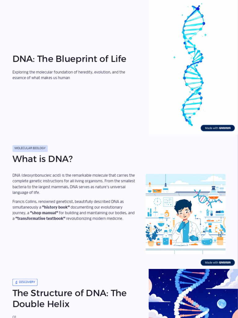 DNA The Blueprint of Life | PDF | Dna | Gene