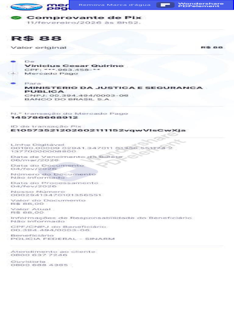 Comprovante Sinarm | PDF