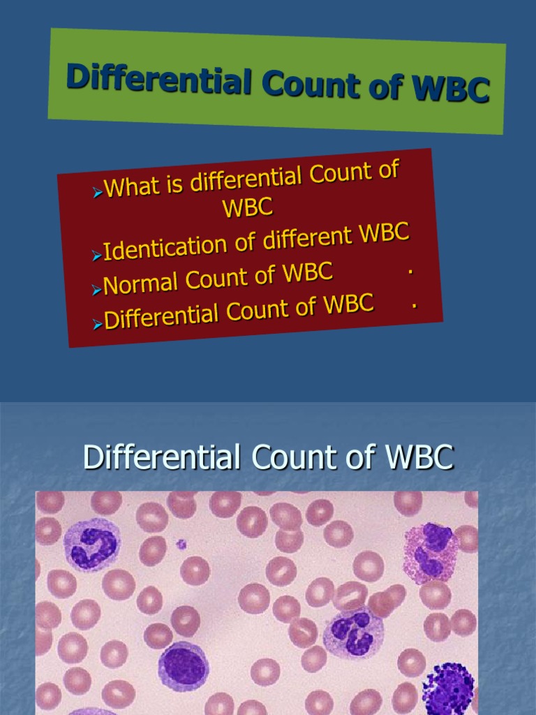 Differential Count of WBC | PDF