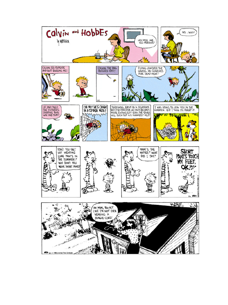 Calvin and Hobbes - Comic Strips | PDF