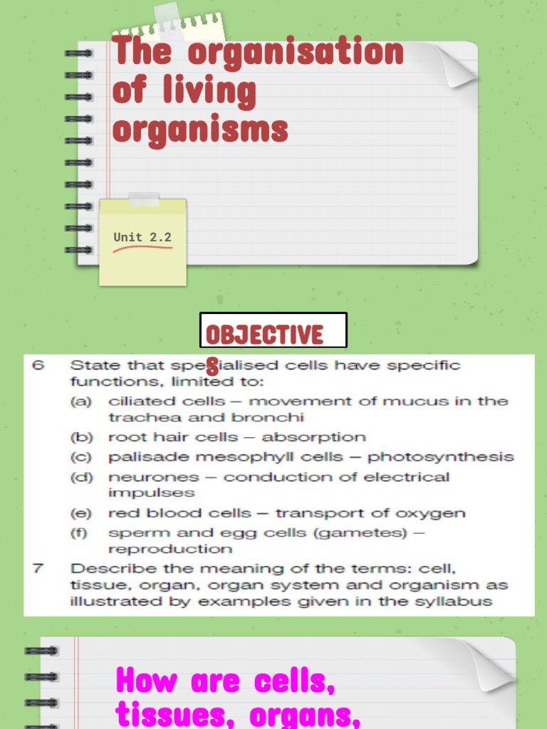 Unit 2.2, The Organisation of Living Organisms | PDF | Cell (Biology ...