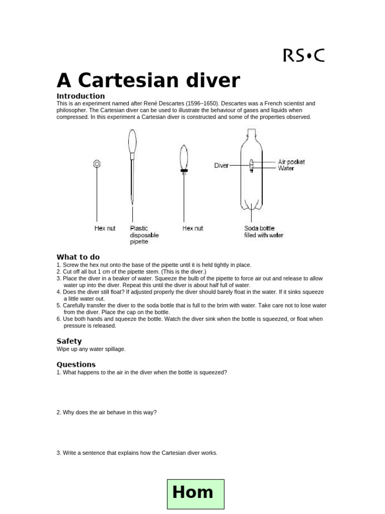Cartesian Diver | PDF