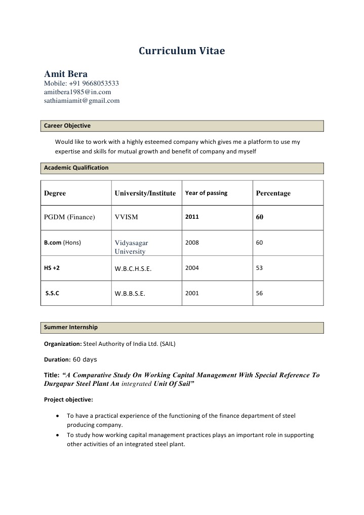Amit CV | PDF | Business