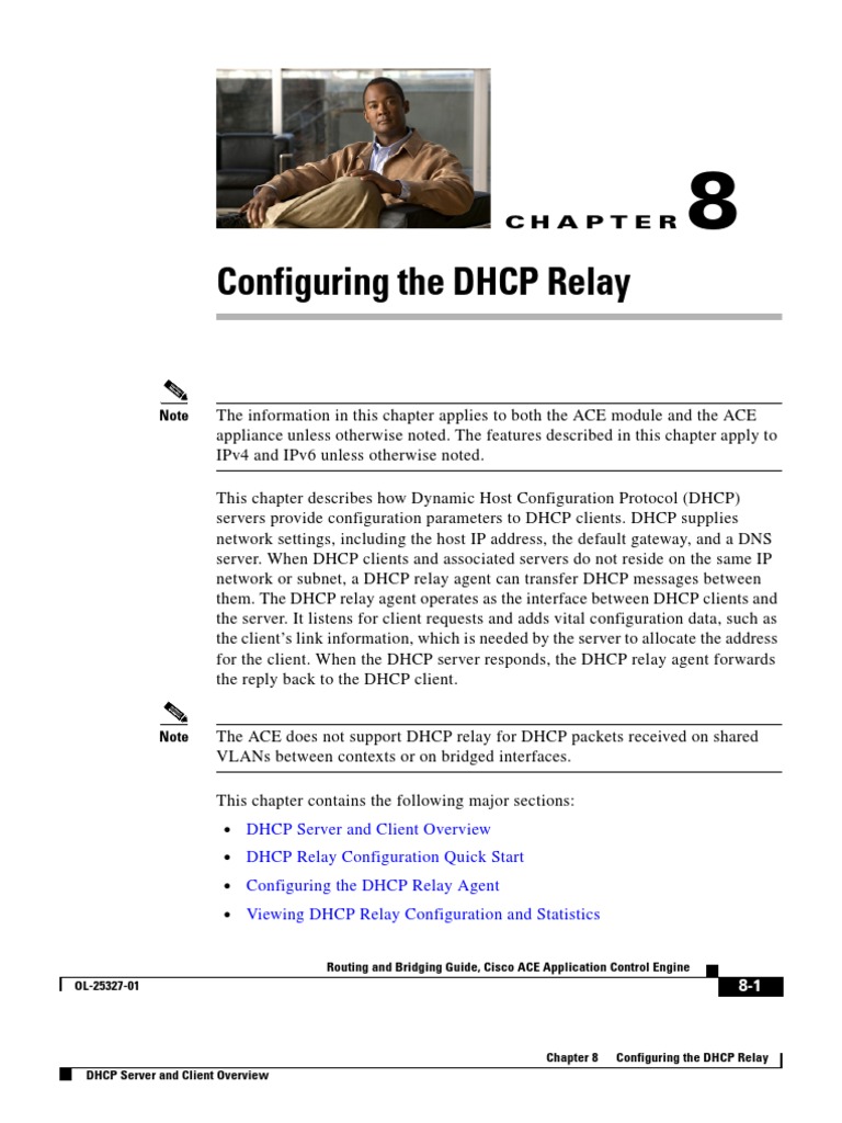 Configuring The Dhcp Relay Pdf Ip Address I Pv6