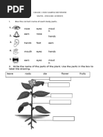 Grade 1 Exam Sample Questions | PDF