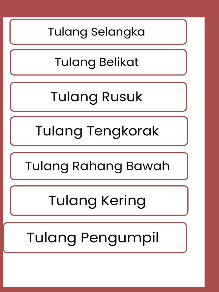 Rangka Manusia Lembar Kerja Siswa Hitam Putih Coklat Gaya Geometri | PDF