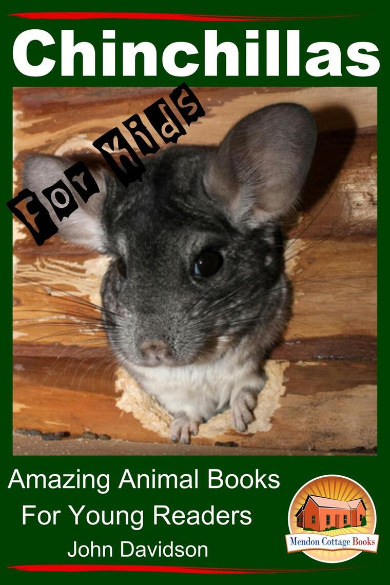 Amazing Animal Books Series by Rachel Smith, K. Bennett - ebook | Everand