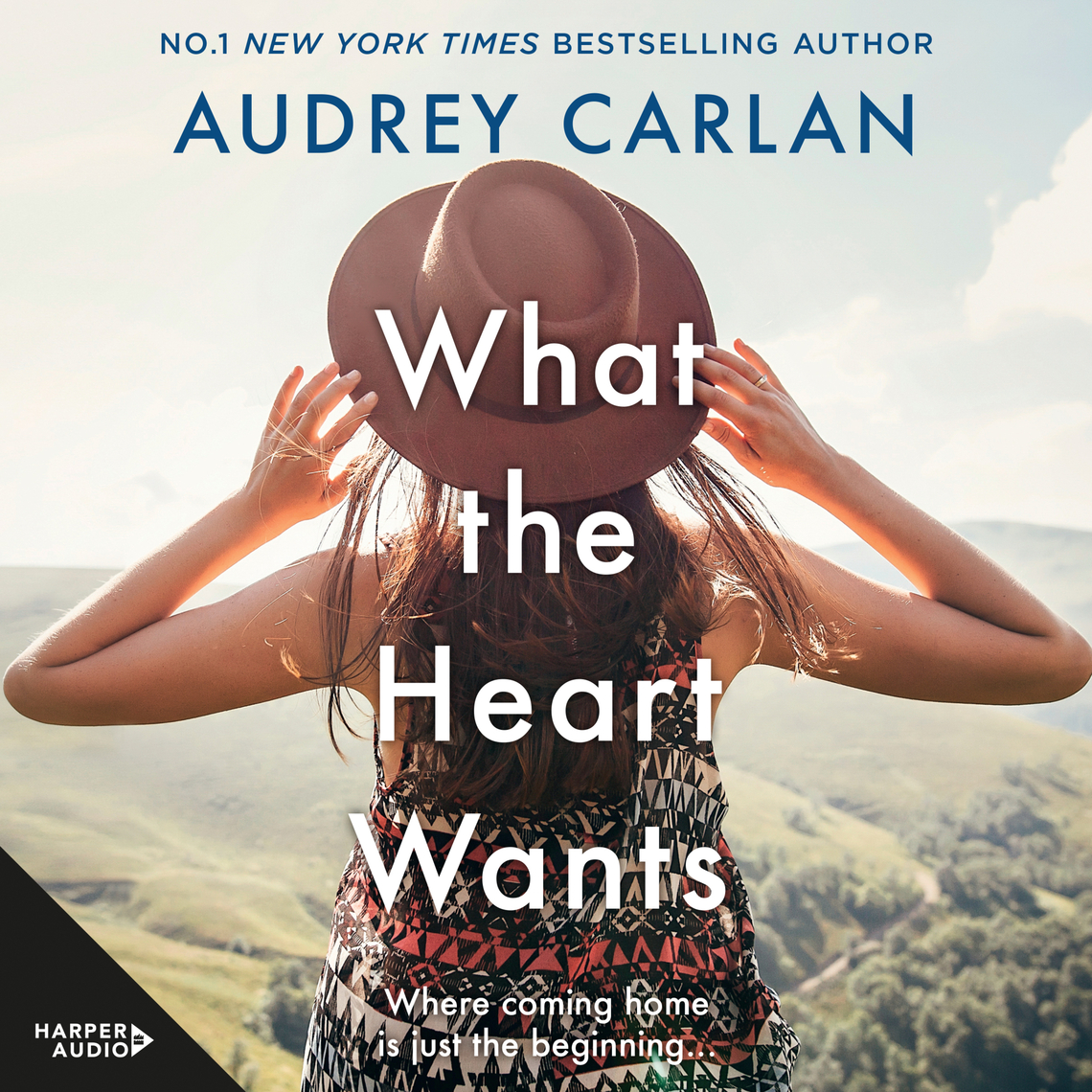 The Wish Series by Audrey Carlan - audiobook | Everand