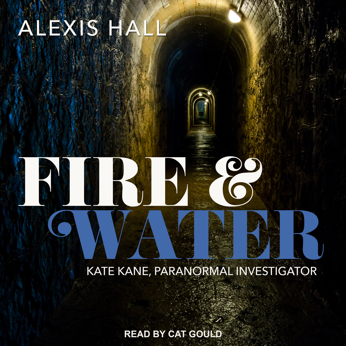 Kate Kane Paranormal Investigator Series - audiobook | Everand