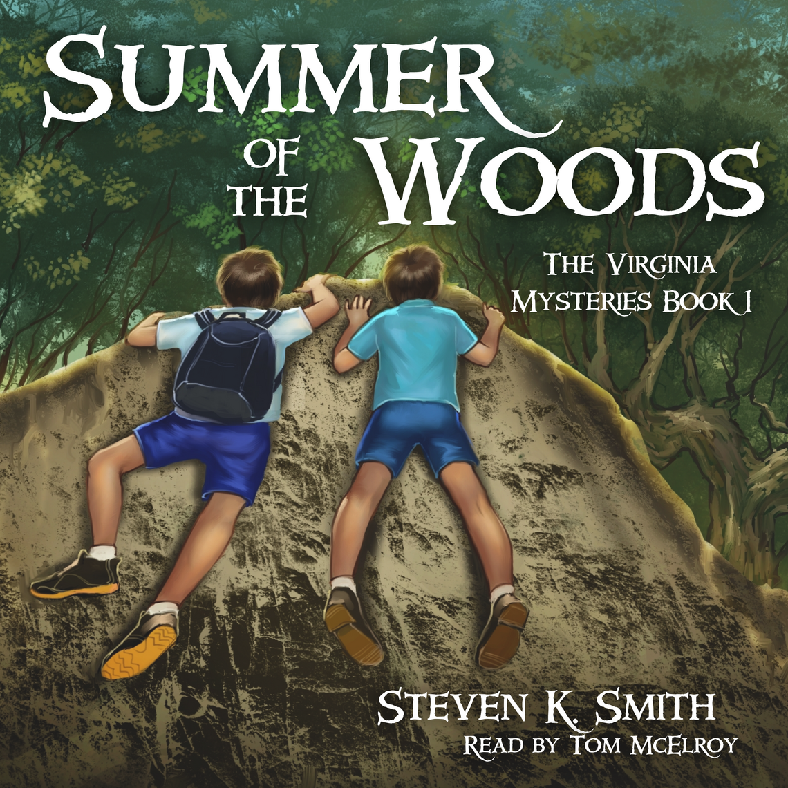 The Virginia Mysteries Series by Steven K. Smith - audiobook | Everand