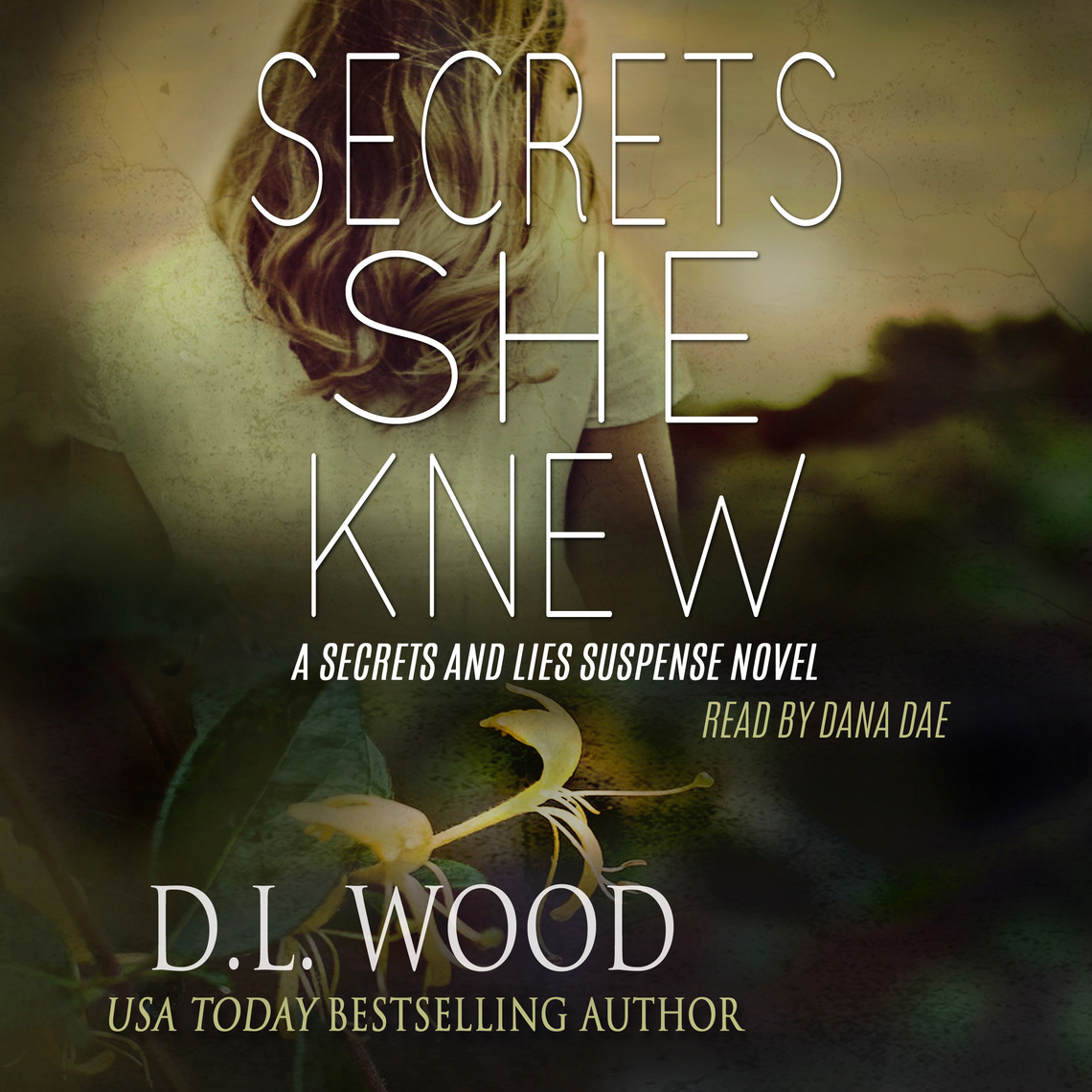 Secrets and Lies Series by D.L. Wood - audiobook | Everand