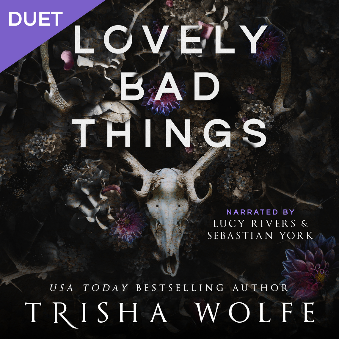 Hollow's Row Series by Trisha Wolfe - audiobook | Everand