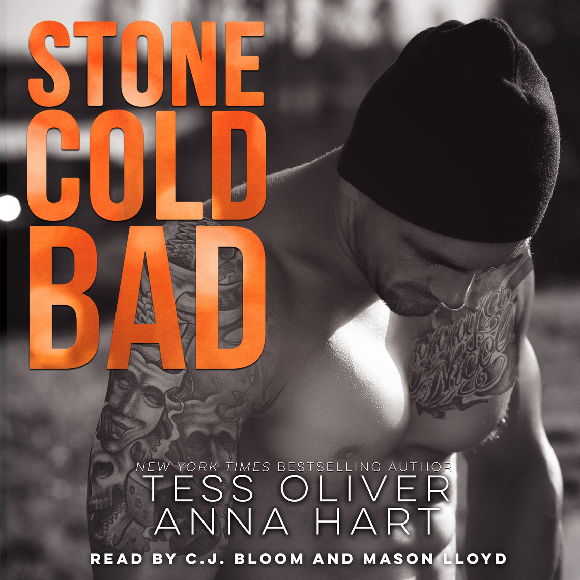 Stone Brothers Trilogy Series by Tess Oliver, Anna Hart - audiobook ...