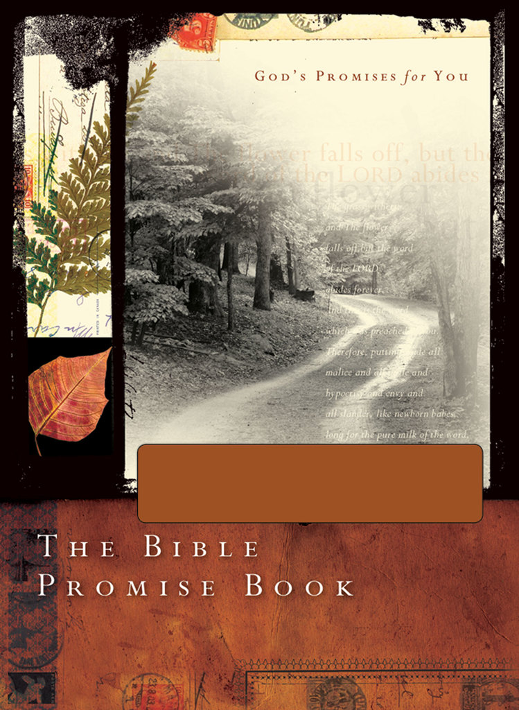 The Bible Promise Book - NLV Gift Edition by Barbour Publishing (Ebook ...