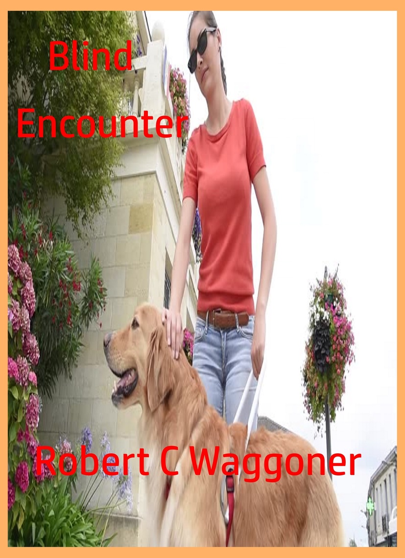 Blind Encounter by Robert C. Waggoner (Ebook) - Read free for 30 days