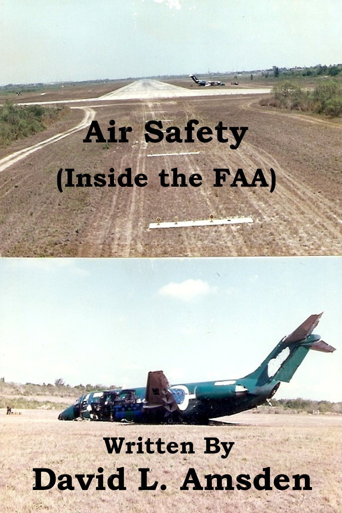 Air Safety (Inside the FAA) by David Amsden (Ebook) - Read free for 30 days