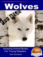 All Wolf Ranks - Powerful Wolves PDF | PDF | Pack (Canine)