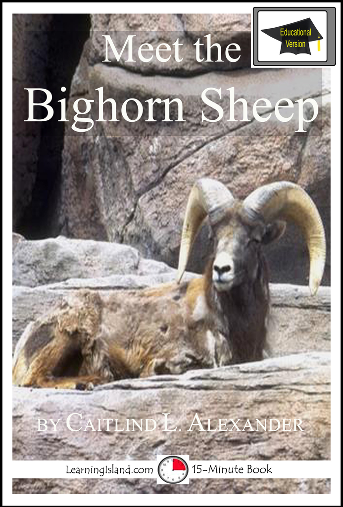 Meet the Bighorn Sheep: Educational Version by Caitlind L. Alexander ...