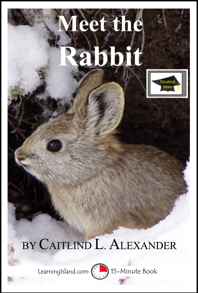 Meet the Rabbit: A 15-Minute Book for Early Readers, Educational ...